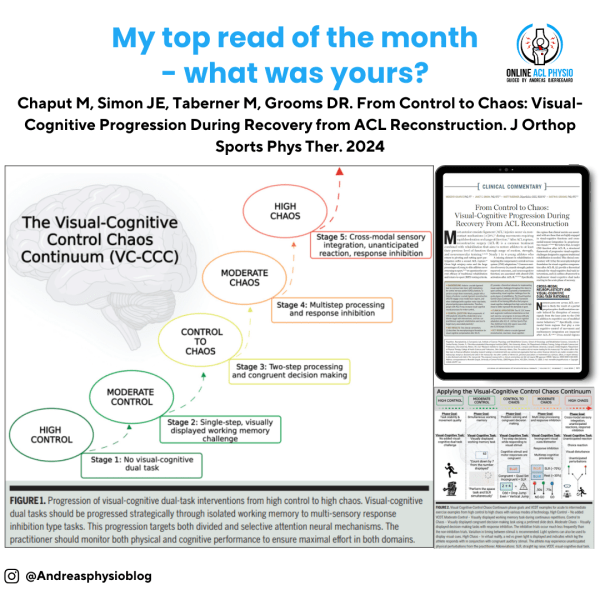 From Control to Chaos: Visual-Cognitive Progression During Recovery ...